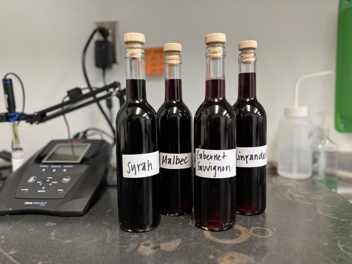 Raise a Glass: An Inside Look at the Latest Spring Updates from Our ...