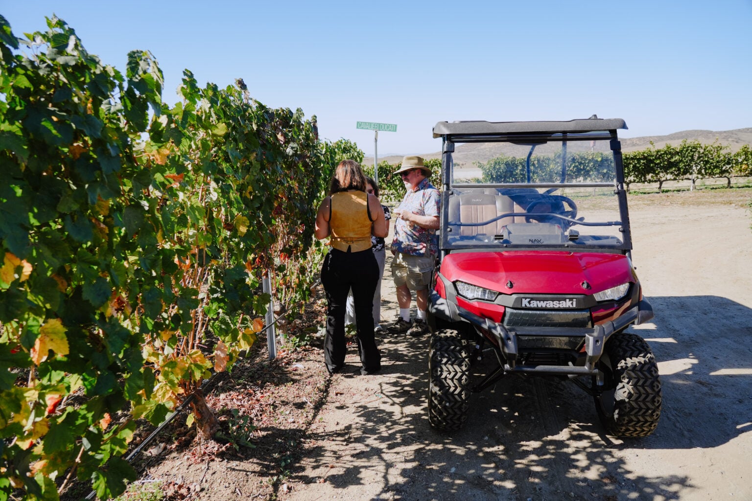 Nav Tours - Doffo Winery